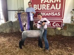 Commercial Ewe – Welcome!